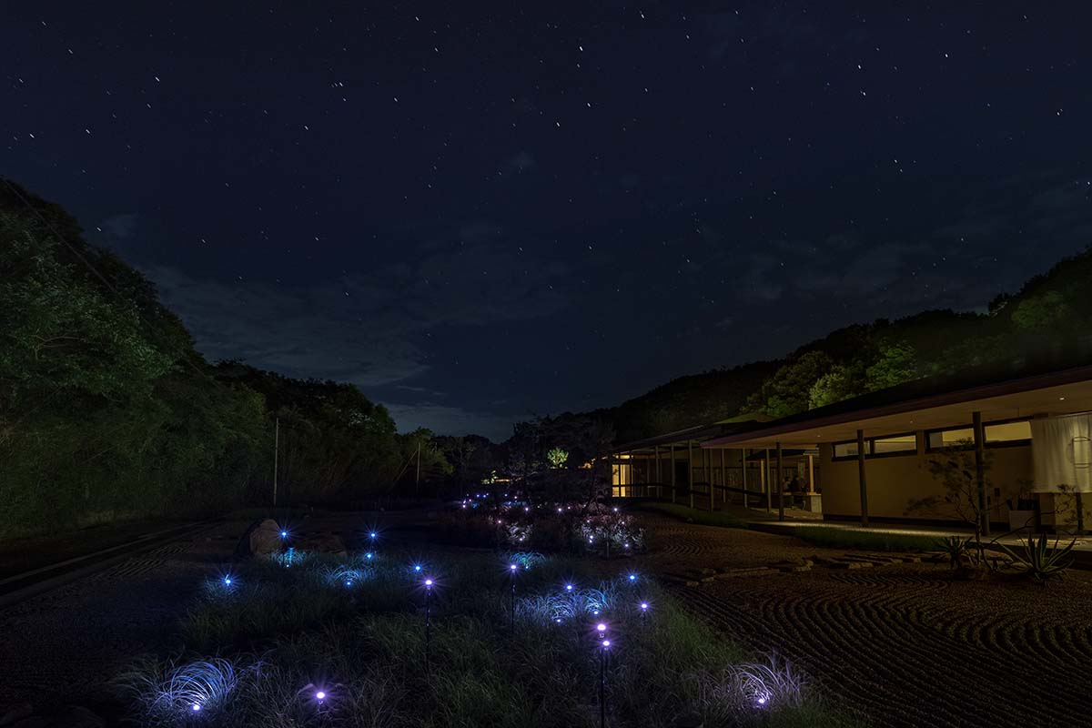 SEARCH BY CATEGORY | Lighting Planners Associates